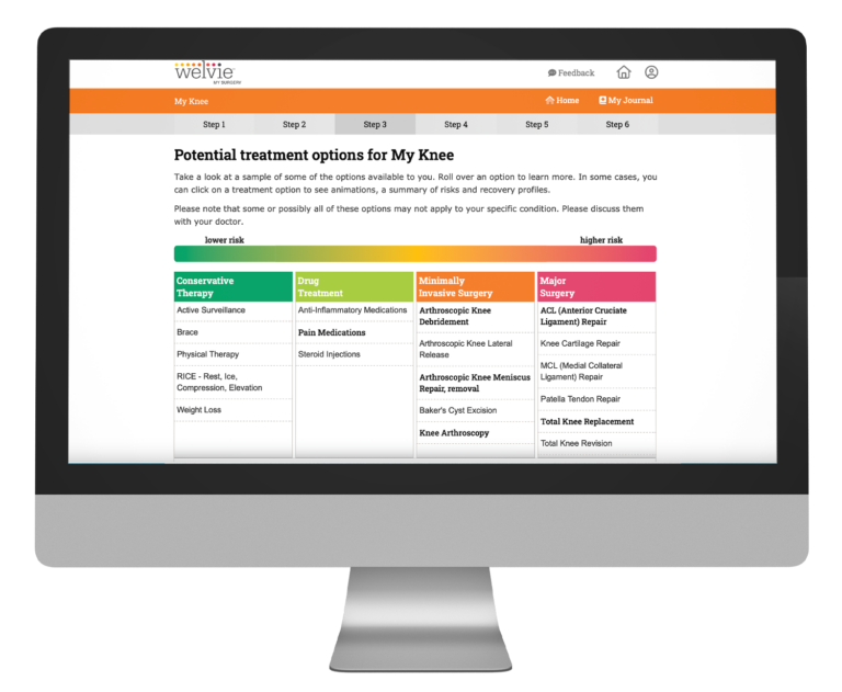 Decision Support Programs — Paradigm